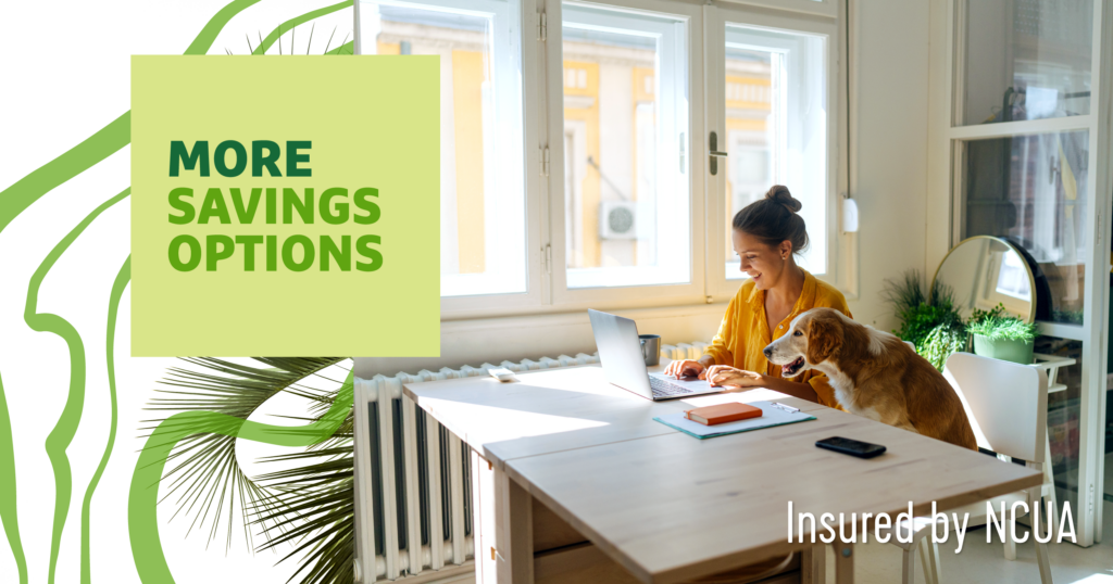 Savings Options at Grow - Grow Financial