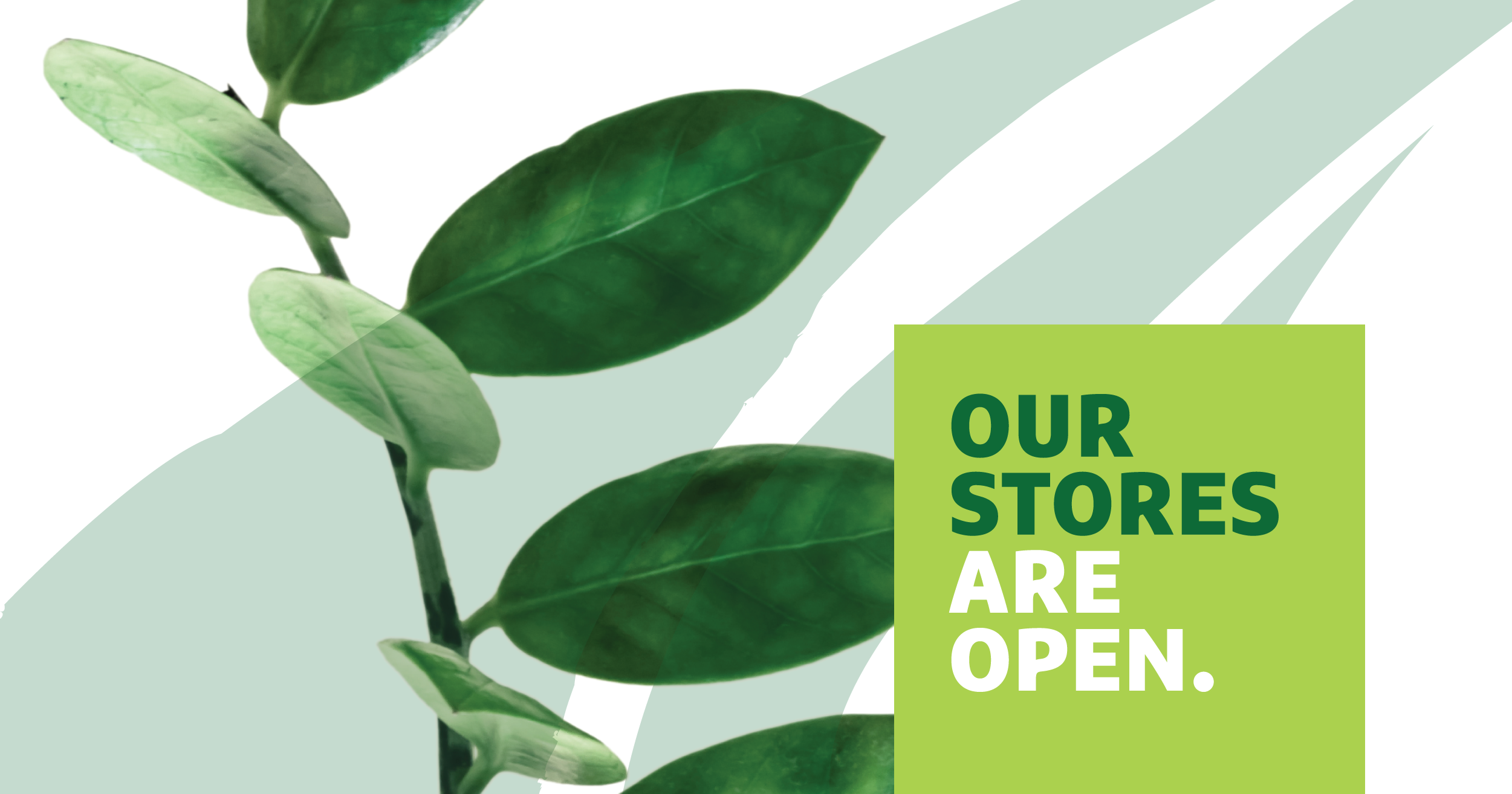 Our Stores Are Open - Grow Financial
